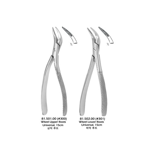 ★28번가★치과재료 전문 쇼핑몰 - Atria Root Forcep(#300,301)